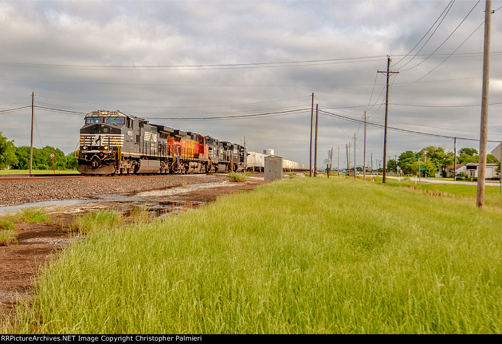 NS 9555 Leads Q-SAGKCK1-19